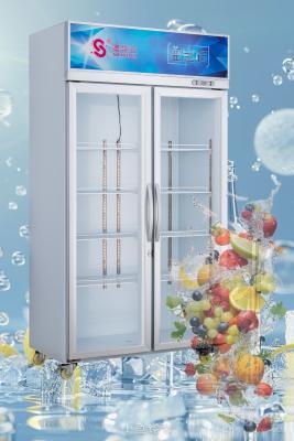China SC-618LP 584L Commercial Display Refrigerator - Double Glass Door, 1030x615x1955mm, 0-8°C Temperature Range for sale