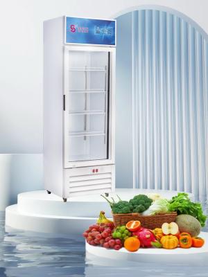 China SC-380LP 380L Commercial Display Refrigerator with Direct Cooling and Glass Door - 620x610x2015mm for sale