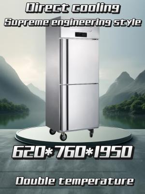 China 600L Commercial Two-Door Freezer Refrigerator 310W 240V with -18°C Freezing Capacity for sale