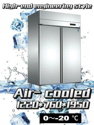 China Air Cooled Double Door Catering Freezer 1000L Capacity Upright Chiller with -20°C Temperature Range for sale