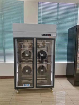 China LPG-20H Air-Cooling Drying Cabinet 1200×830×2030mm Double Door with 4 Intelligent Modes for sale