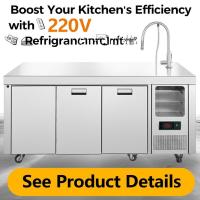 China 220V Commercial Kitchen Freezer with Automatic Defrost and Stainless Steel Construction for Restaurant Refrigeration for sale