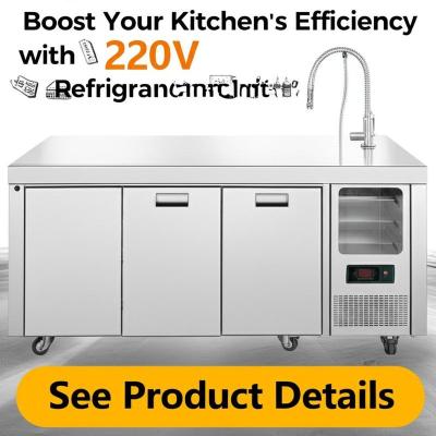 China 220V Commercial Kitchen Freezer with Automatic Defrost and Stainless Steel Construction for Restaurant Refrigeration for sale