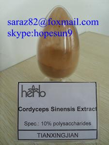 China Cordyceps sinensis mycelium Extract 10%-40%Polysaccharides for sale