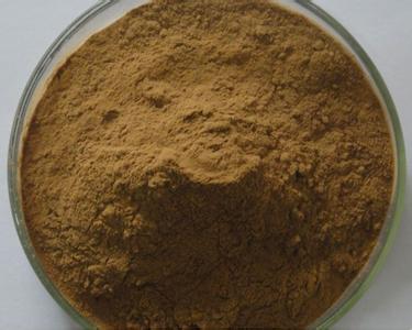 China Dandelion Extract for sale