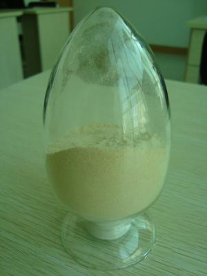 China Paeoniflorin Extract for sale