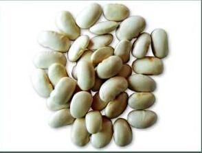 China 1%2% Phaseolin White Kidney Bean Extract, Phaseolus vulgaris L for sale