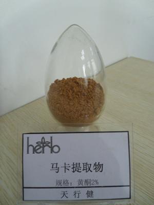 China Maca extract 0.6% macamides for sale