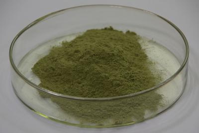 China Cabbage (Green, Fresh) Powder, Cabbage Juice Powder for sale