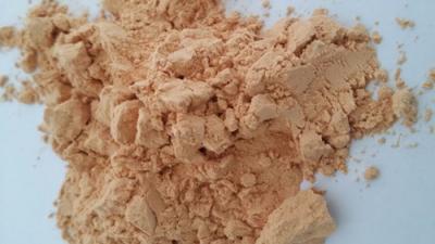 China 100% Natural Tomato Powder for sale