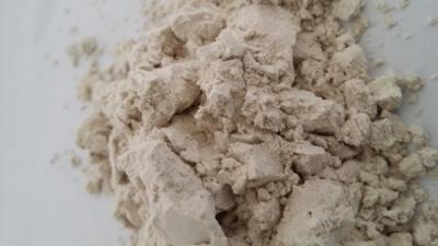 China Pure natural Shiitake Powder for sale
