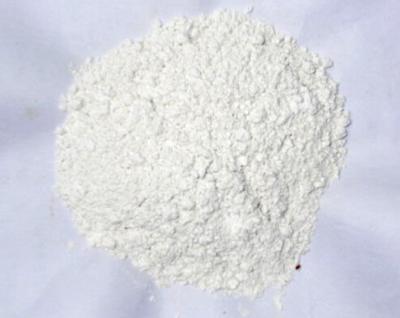 China natural Allicin/Garlicin Powder for sale