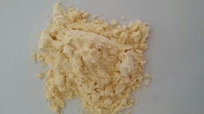China Mango Extract Powder for sale