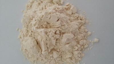 China yacon juice powder/yacon fruit powder/yacon powder for sale
