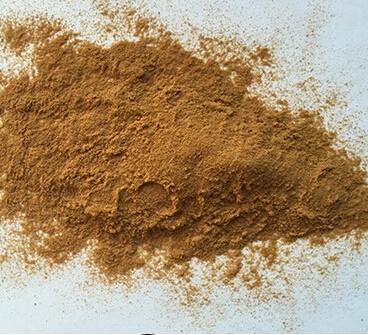 China agaricus blazei murill mushroom extract/agaricus blazei murill mushroom powder/agaricus bl for sale
