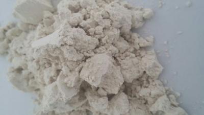 China instant chinese chestnut Powder for sale