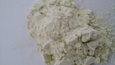 China Natural Spray Dried Broccoli Powder for sale