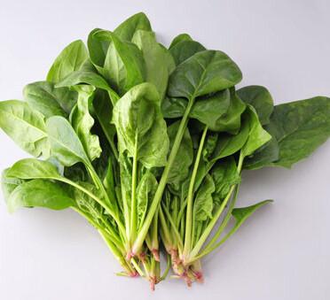 China 100% water-soluble Spinach Extract Powder/Spray Drying Spinach Powder for sale