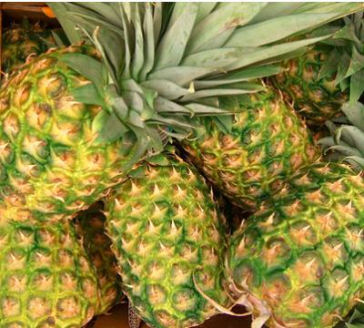 China Pineapple Fruit Powder for sale