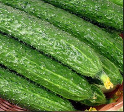 China 100% Natural Cucumber Powder for sale