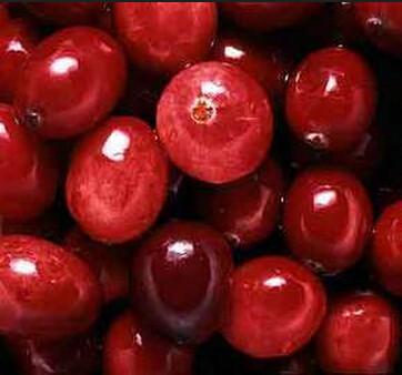 China Cranberry Extract CAS No: 4852-22-6 for sale