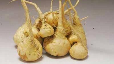 China natural Maca Extract Powder 4:1 for sale