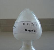 China Bergenia Purpurascens Extract Bergeninum 98% for sale