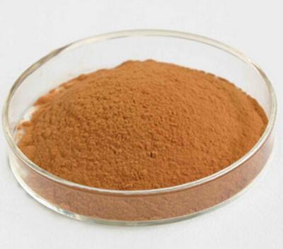 China Coleus forskohlii Extract 10%20%Forskolin for sale