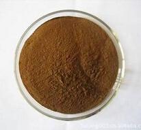 China Burdock extract/great burdock achene/arctium lappa extract for sale