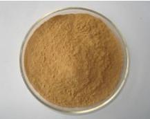 China Galla Chinensis P.E./ Chinese Gall Extract/Chinese Gall Extract Powder Ellagic Acid for sale
