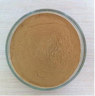 China rosemary extract,rosemary extract powder,rosemary leaf extract,rosmarinic acid for sale