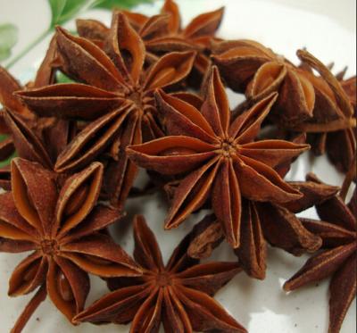 China Shikimic Acid 98%,Star anise extract,Illicium verum extract for sale