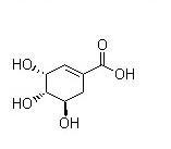 China 98%Shikimic Acid,Illicium verum extract,Illicium verum extract powder,Illicium verum P.E. for sale