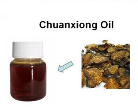 China Ligusticum Chuanxiong Oil/plant essence oil/Lovage Root Oil for sale