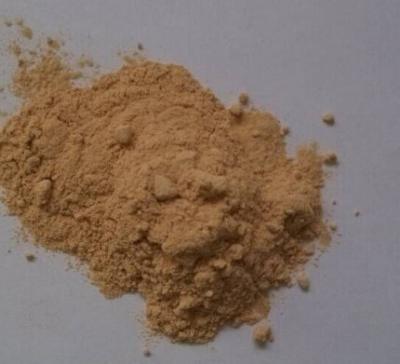 China Butterbur Extract(Petasites Hybridus & Petasites Japonicus) 15%Petasin for sale