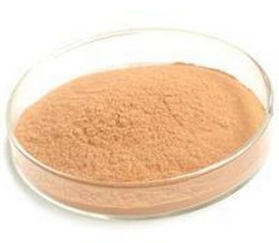 China Green tea extract Catechinic acid 90% for sale