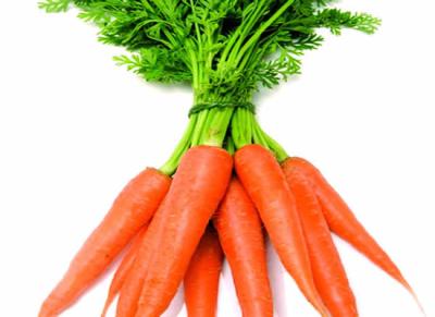 China Beta Carotene,Beta Carotene powder,Beta Carotene extract,Carrot Extract,Carrot Extract Pow for sale
