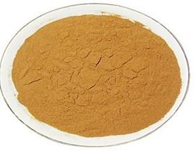 China Natural Gymnema Sylvestre Extract,Gymnema Extract,Gurmar Extract,Gymnemic Acids 10%-75% for sale