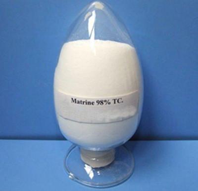 China Oxymatrine,Ammothamnine,Matrine N-oxide,Bitter Sophora Root Extract,Sophora flavescens ext for sale