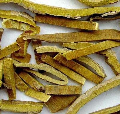 China Amoorcom Tree Bark Extract,Amur cork tree Bark Extract , cork tree Bark Extract  10:1 for sale