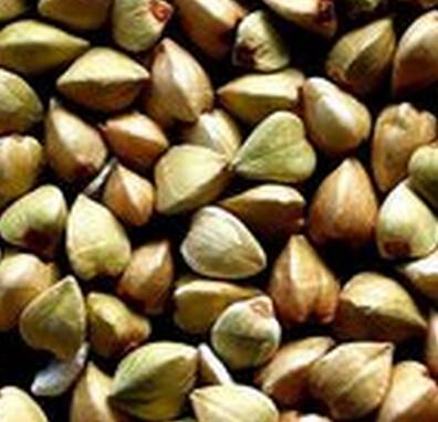 China Buckwheat Extract,Buckwheat Extract powder, D-chiro-inositol CAS No: 643-12-9 for sale