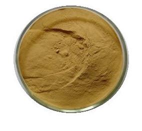 China Psyllium husk Extract,Flea Seed extract,Plantain Seed Extract,Plantain Seed P.E for sale