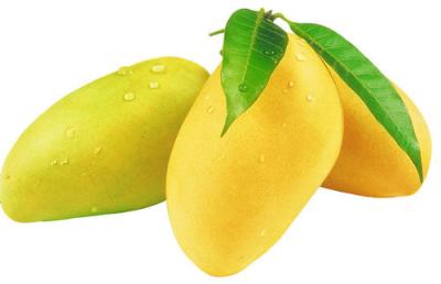 China 98%mangiferin,mangiferin powder,Alpizarine,Mango leaf extract CAS: 4773-96-0 for sale
