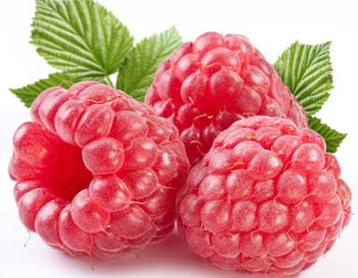 China Raspberry Extract,Raspberry Extract Powder,Raspberry Ketone 4%20% CAS No: 5471-51-2 for sale