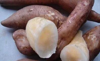 China yacon extract,yacon root extract,yacon fruit extract 10:1 for sale