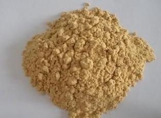 China Soybean extract,Soybean extract powder,soy isoflavone,soy isoflavone powder 40% for sale