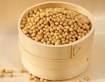 China 98%Soy Lecithin,Soy Lecithin Extract,Soy Lecithin Powder,Soy Extract CAS No.:8002-43-5 for sale