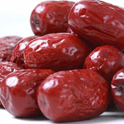 China Jujube Extract,Jujube P.E.,Common Jujube P.E.,Chinese Date Extract,Red Jujube Extract for sale