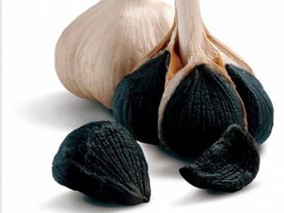 China Black Garlic Extract 3%Flavone, 3%Polyphenol, 10:1 for sale