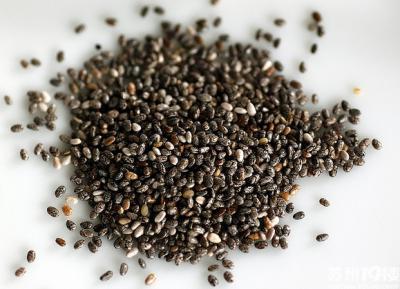 China chia seed extract,chia seed powder,chia seed extract powder 10:1 for sale